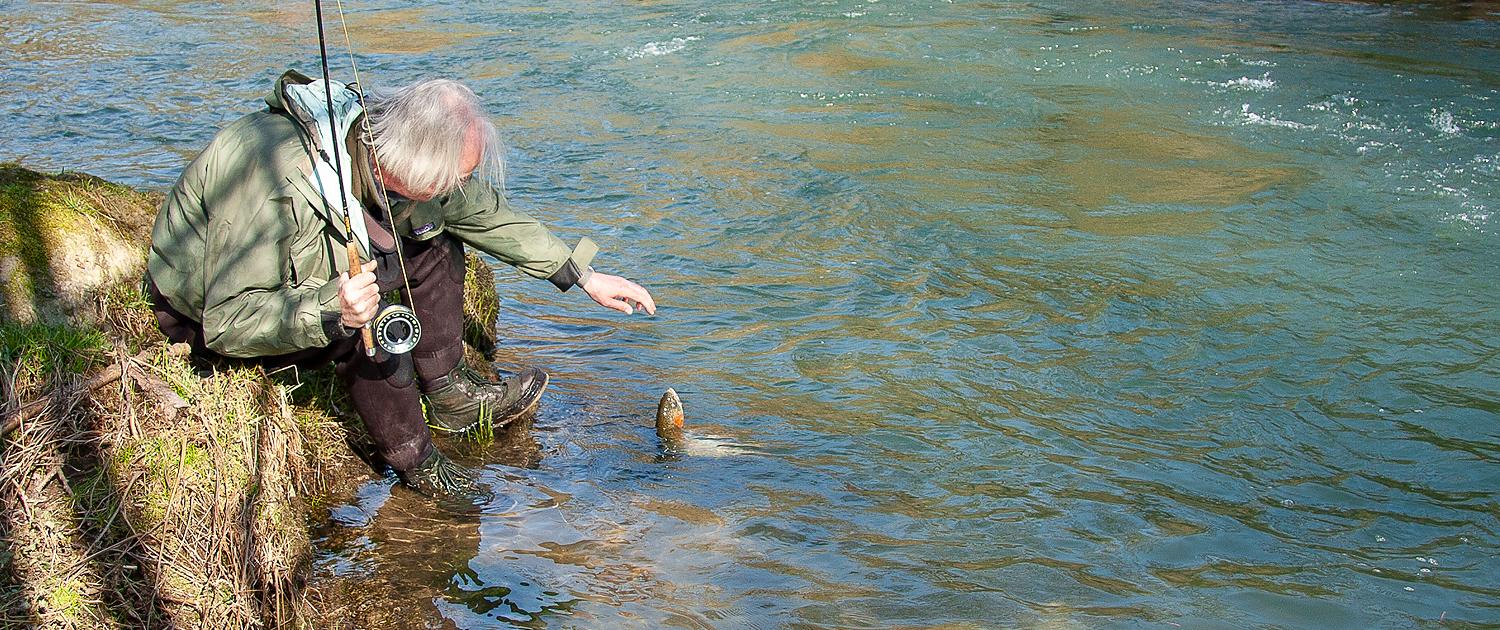 Wenne – Eslohe – Wizard of Fishing